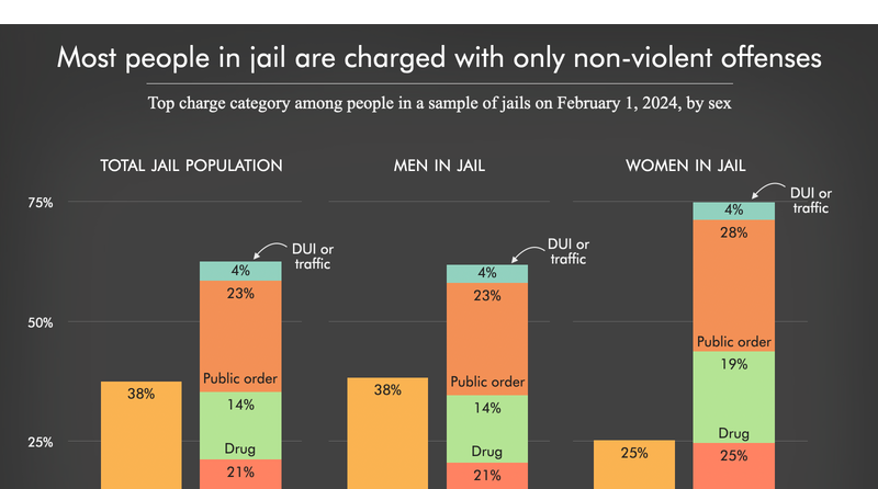 Most people in jail are charged with only non-violent... | Prison ...